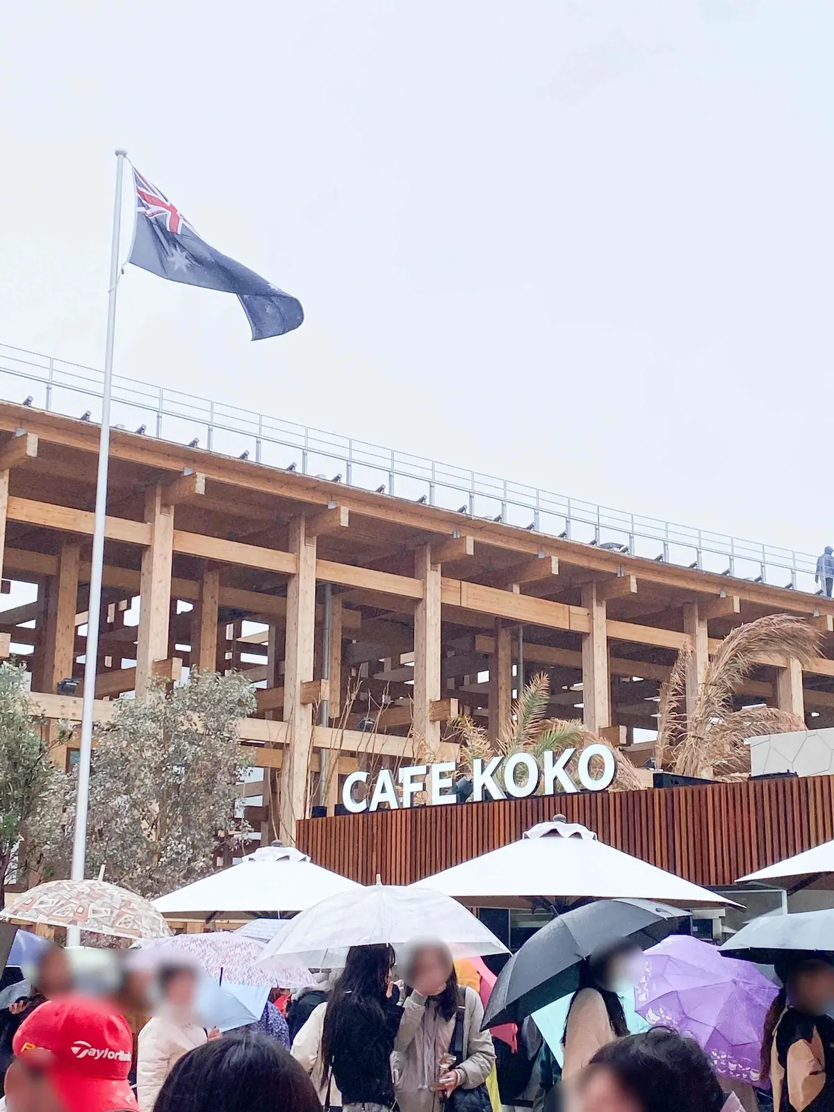 【大阪・関西万博2025】コアラが眠りユーカリが茂る《オーストラリアパビリオン》を体験！カフェグルメも！ | MORE