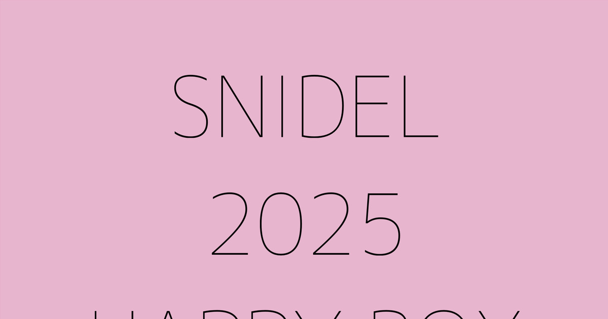 SNIDEL】【福袋】2025年HAPPY BOX 中身大公開! | MORE SNIDEL】【福袋】2025年HAPPY BOX 中身大公開! | MORE